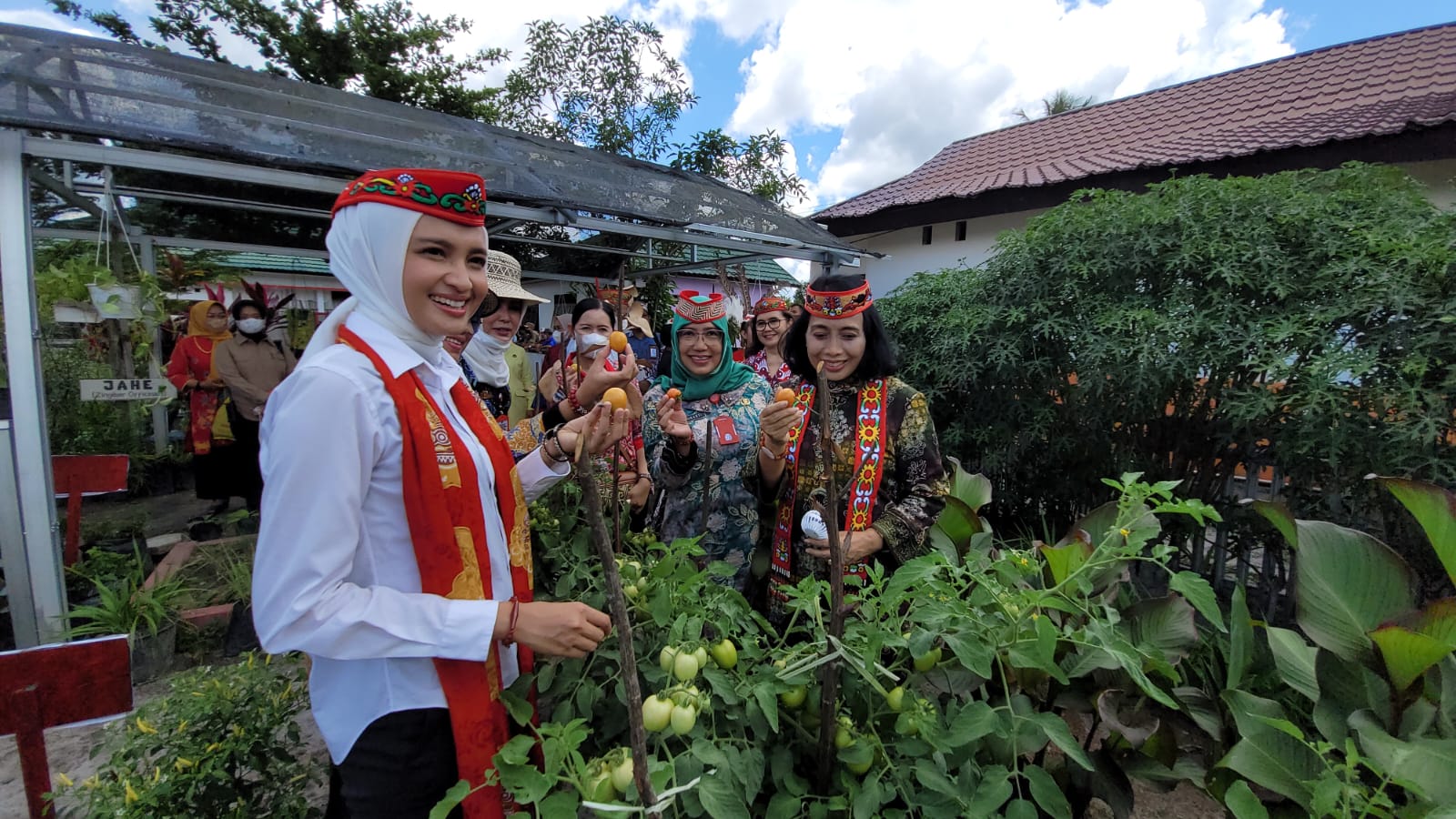 Dinas TPHP Kalteng Lakukan Pendampingan Kebun TOGA PKK di Pulang Pisau ...