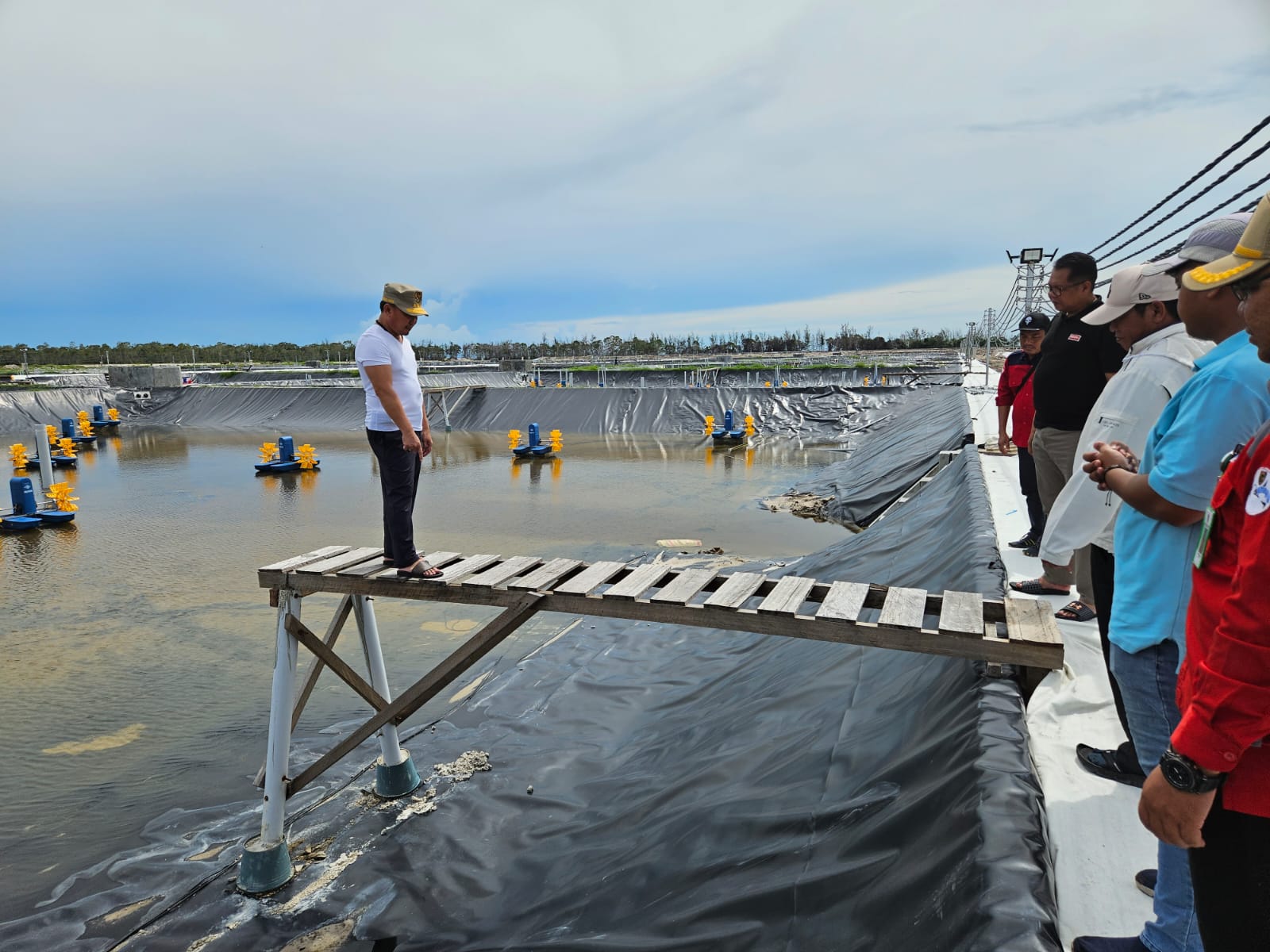 Shrimp Estate Sumber Kekuatan Ekonomi Baru bagi Wilayah Pesisir Pantai ...